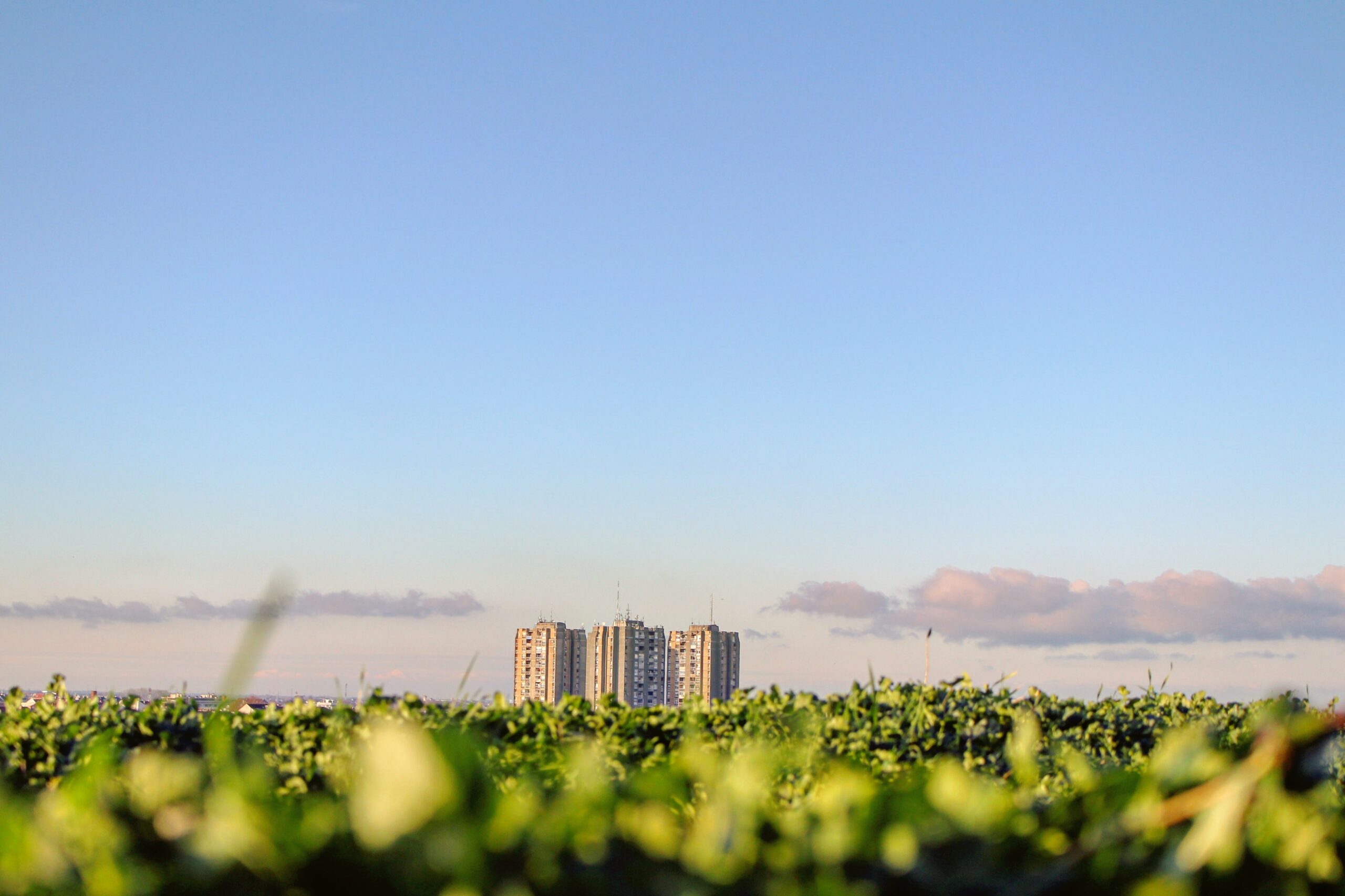 Green H2 Is Rapidly Gaining Momentum But Critics Argue That It Is Not